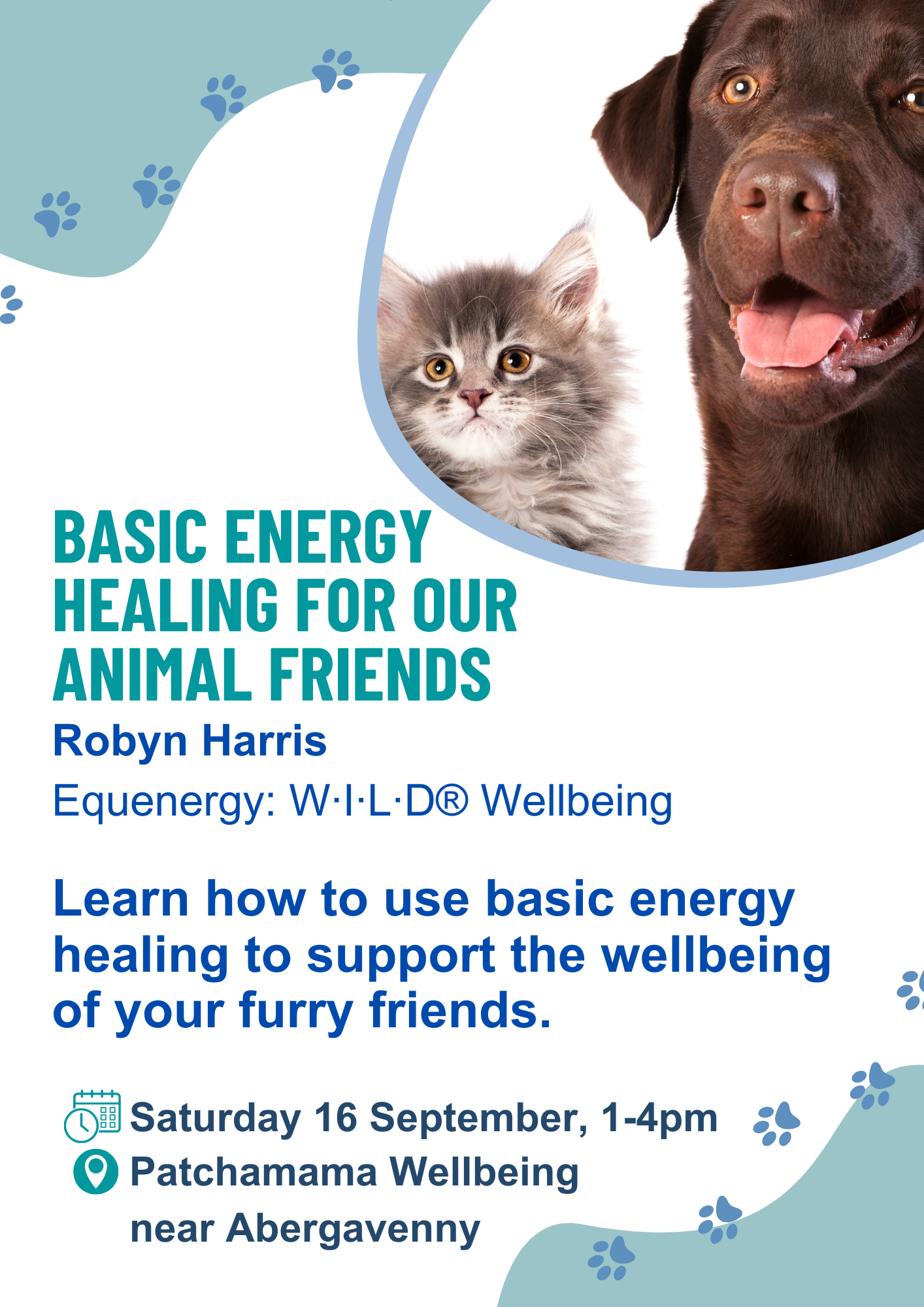 Basic Energy Healing for our Animal Friends – Equenergy: W·I·L·D® Wellbeing